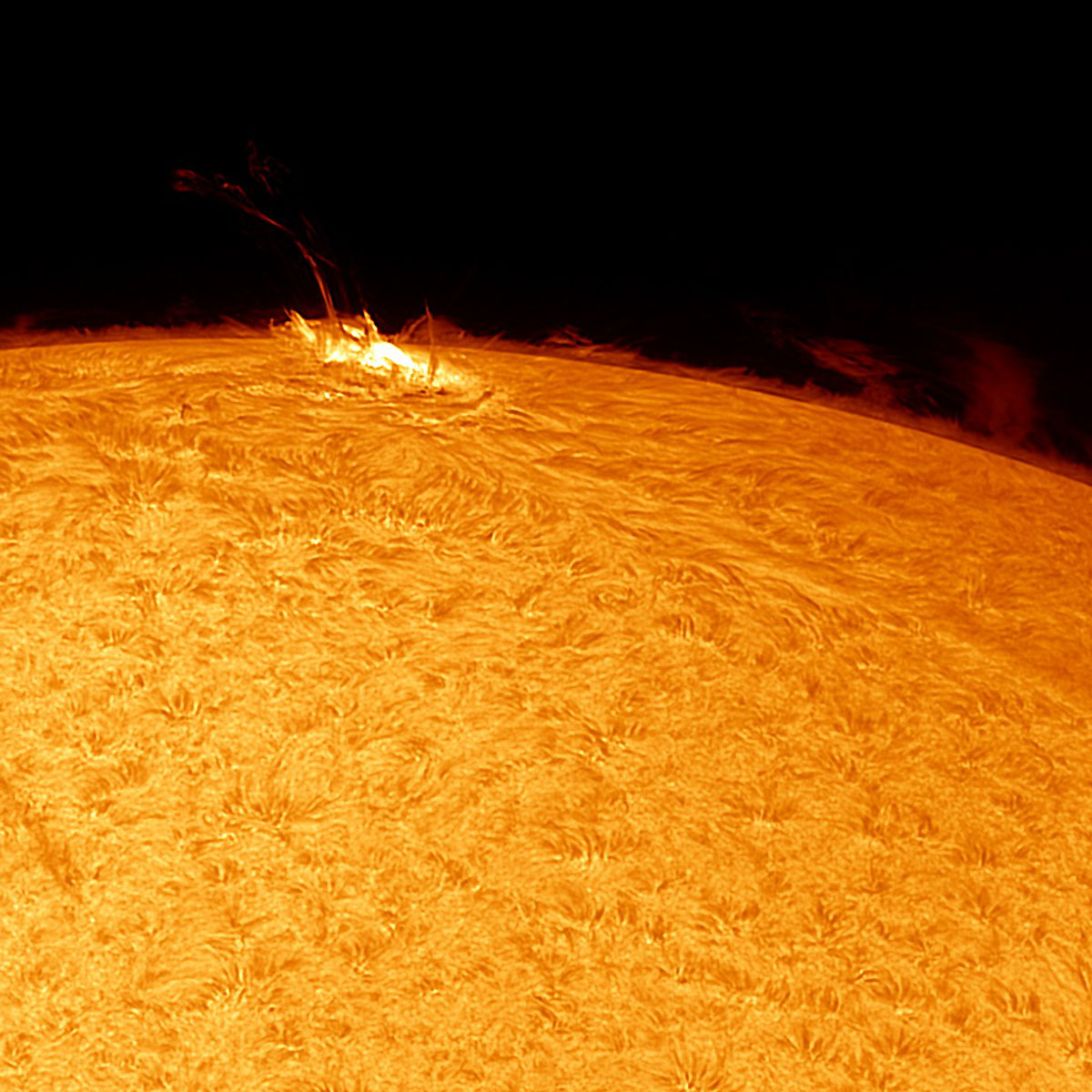 Solar Imaging Experience - Perfect Gift! | First Light Optics